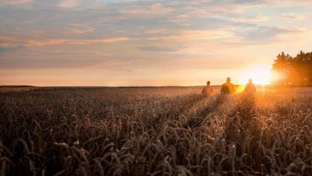 Laipni lūdzam BASF Agro mājaslapā!