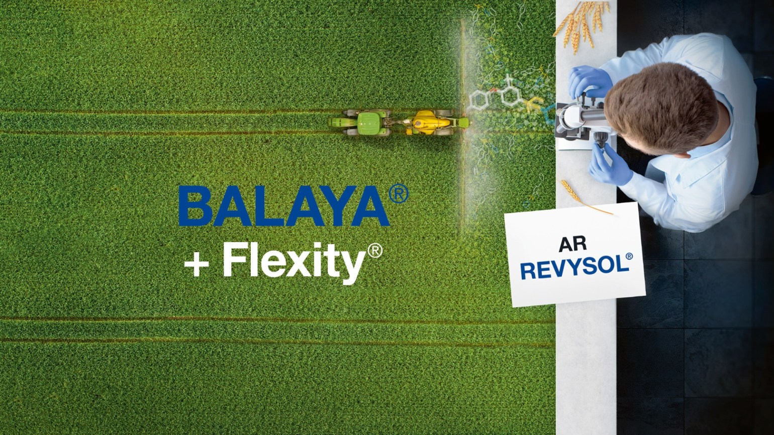 Balaya®+Flexity® - BASF Lauksaimniecības Risinājumi Latvijā
